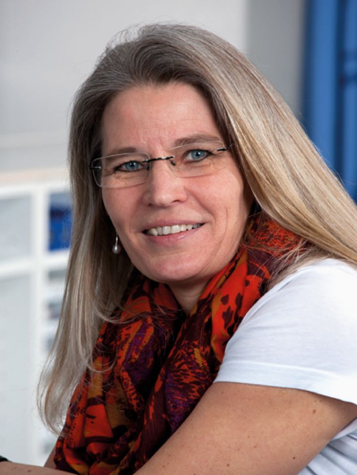 Gipsfræsere fra Komet